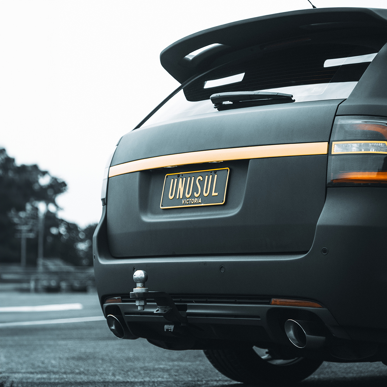 Fluffy's Commodore - Raptortough