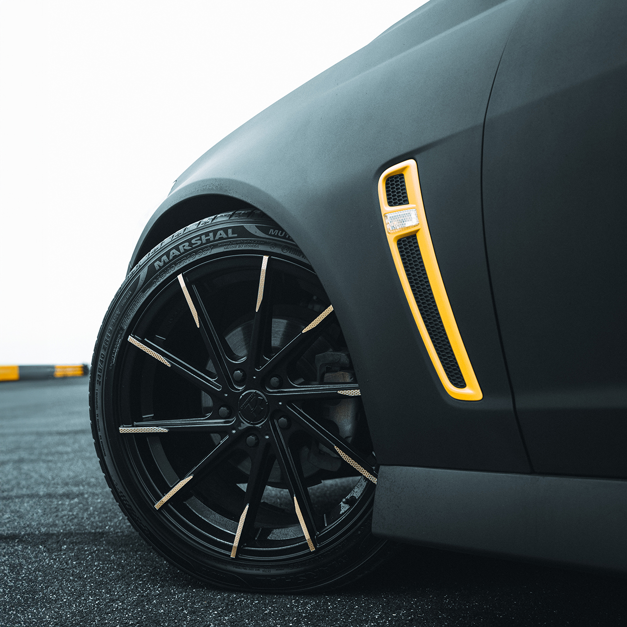 Fluffy's Commodore - Raptortough